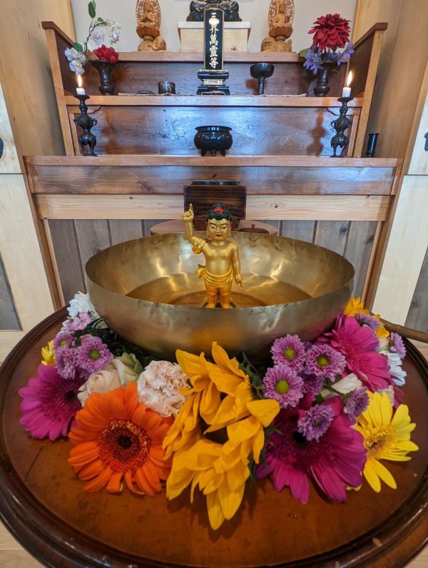 Our Visit to Korinji and Meido Roshi – Zen Embodiment